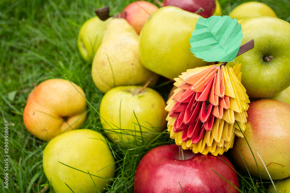 Apple Harvest Wallpaper