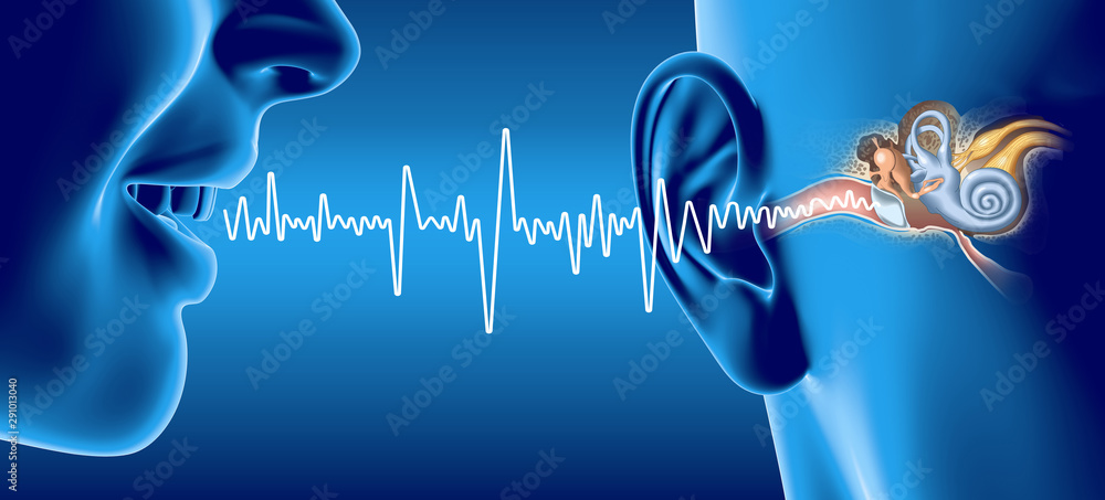 People talking, soundwave and ear anatomy, medical 3D illustration ...