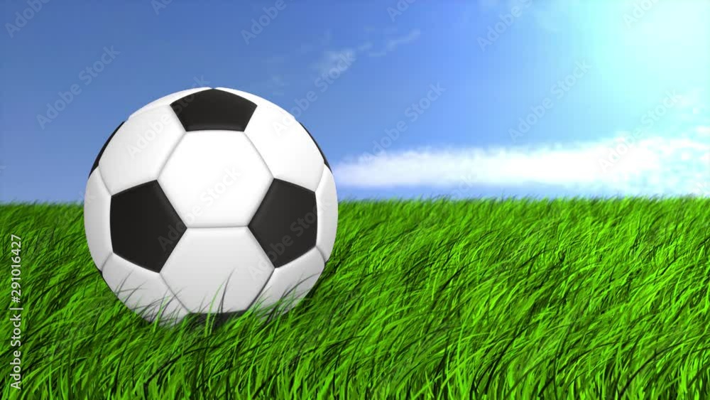 Realistic soccer ball spinning in center on meadow soccer field sky ...