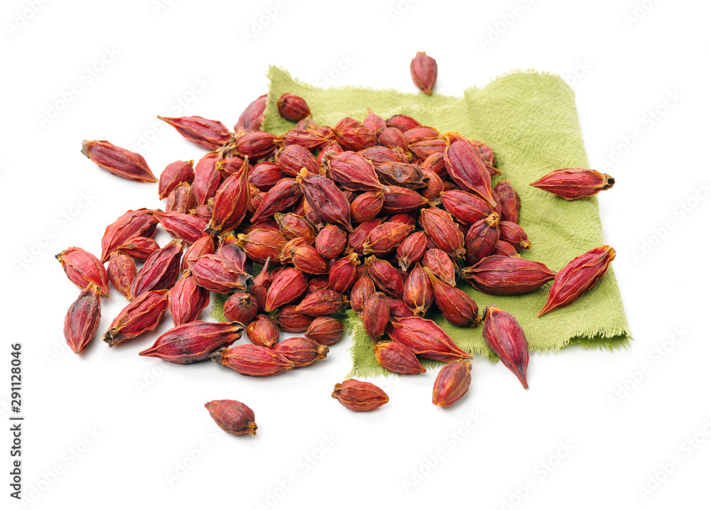 fruit of the gardenia （Gardenia jasminoides Ellis）on white background ...