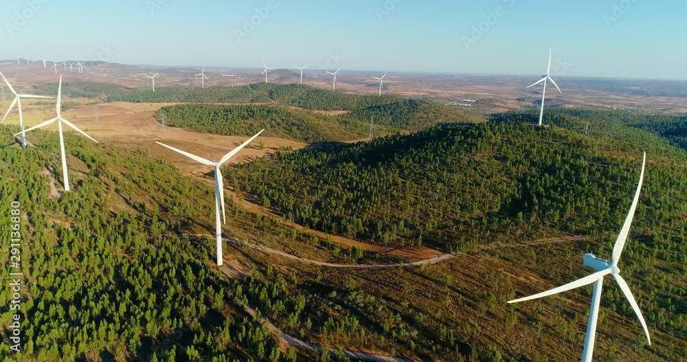 Vidéo Stock Wind turbines in fields near olive tree forest under the ...