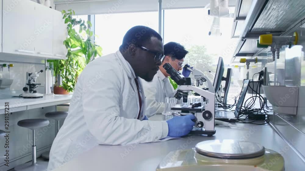 Scientist working in lab. Doctors making medical research. Laboratory ...