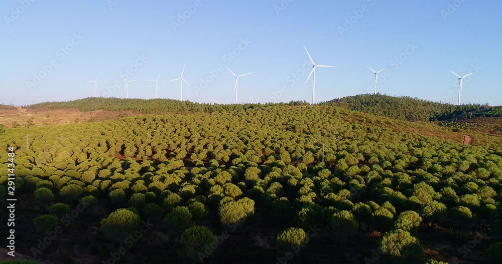 Wind turbines in fields under the blue sky. This is a wind farm which ...