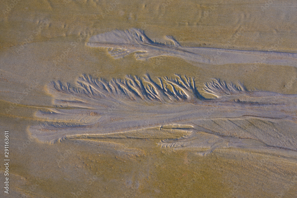 beach veins patterns at Old Orchard Beach Stock Photo | Adobe Stock