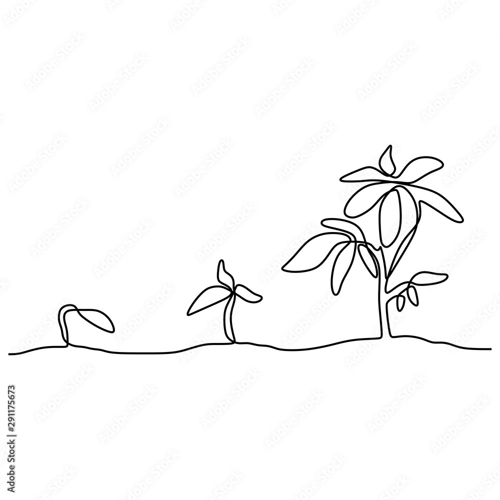 Growing Seed Drawing