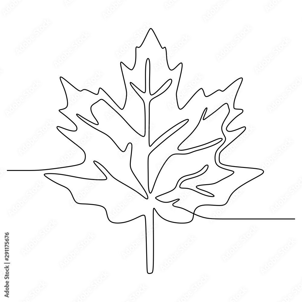 Continuous line drawing of maple leaves one hand drawn lineart design ...