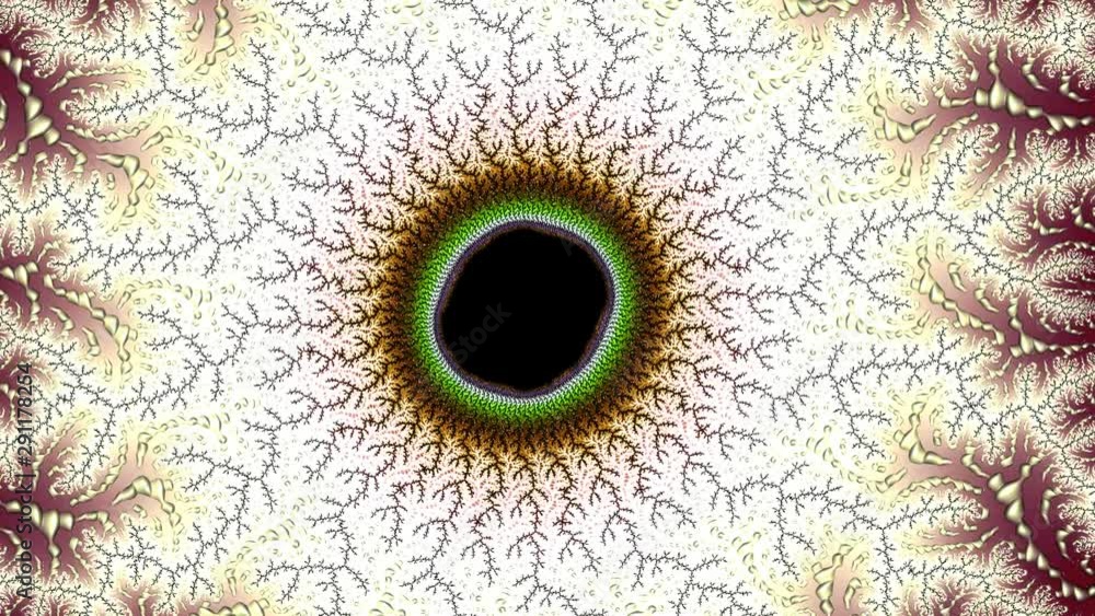 Mandelbrot set exhibit an elaborate and infinitely complicated boundary ...