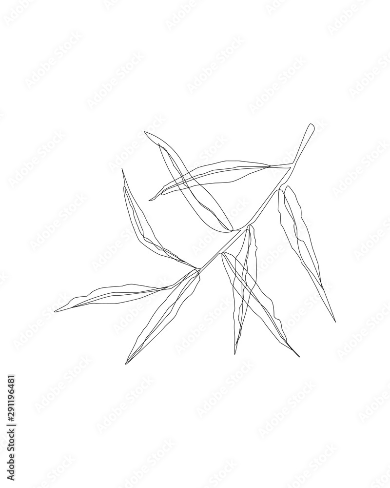 Botanical leaves. One line drawing art. Abstract minimal plants Stock ...