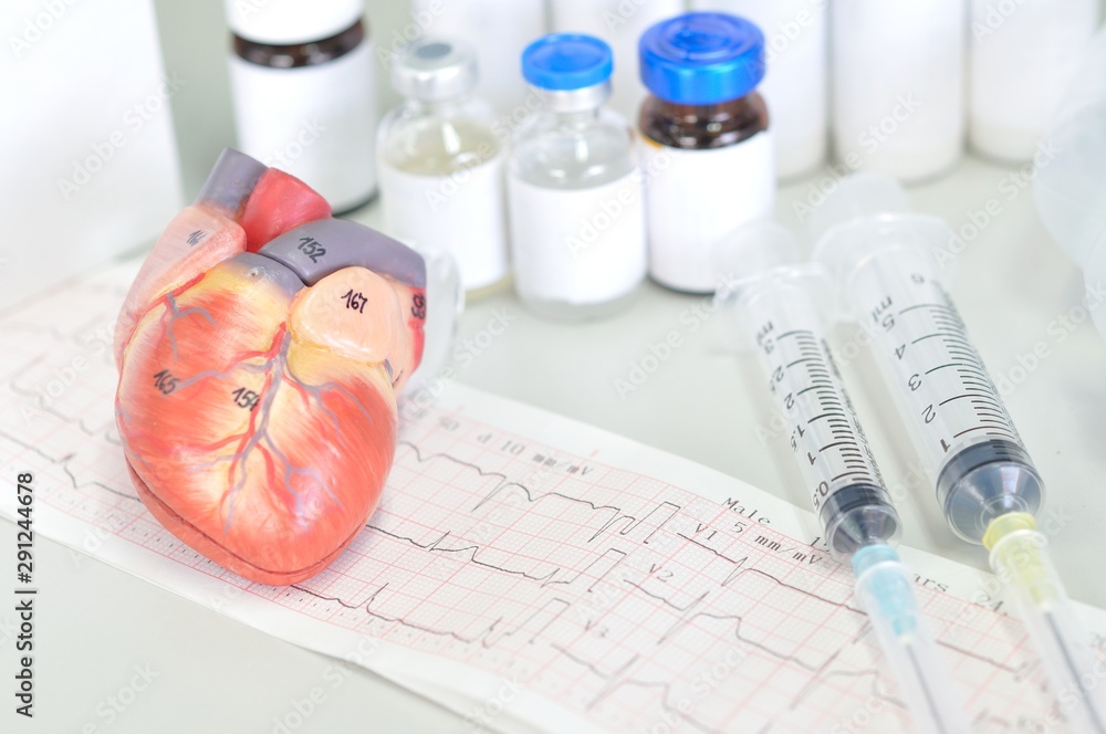 human heart anatomy model with EKG Stock Photo | Adobe Stock
