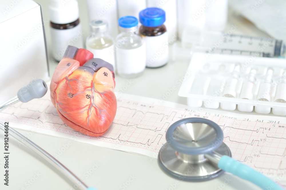 human heart anatomy model with EKG Stock Photo | Adobe Stock