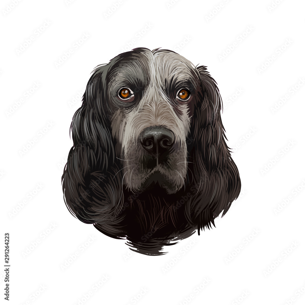 Blue Lacy, Lacy Cur dog, Lacy Hog Dog, state dog of Texas digital art ...