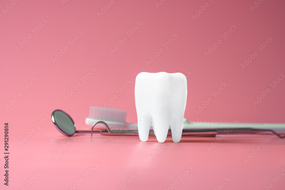 Dental model and dental equipment on pink background, concept image of ...