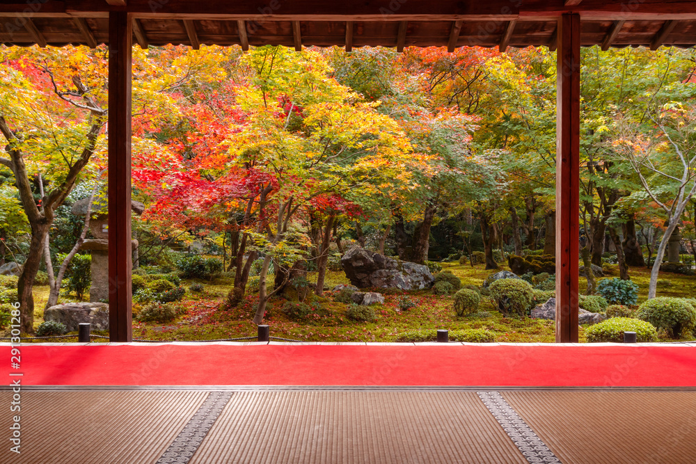 Colorful autumn in Japanese garden with red carpet at Enkouji Temple ...