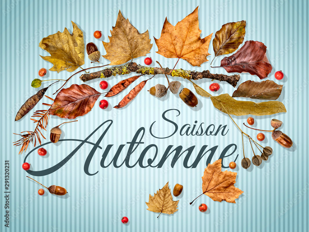 arrière-plan bleu sur feuilles d'automne avec texte français Stock ...