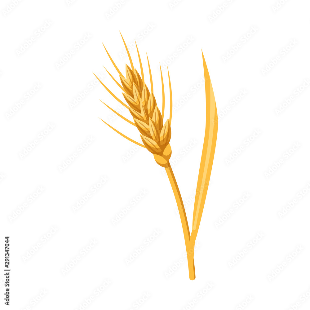 Sheaf Of Barley