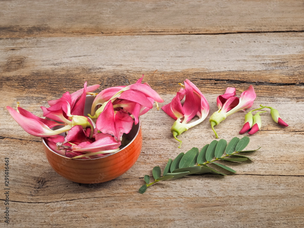 Sesbania Grandiflora Flowers Of India | Best Flower Site