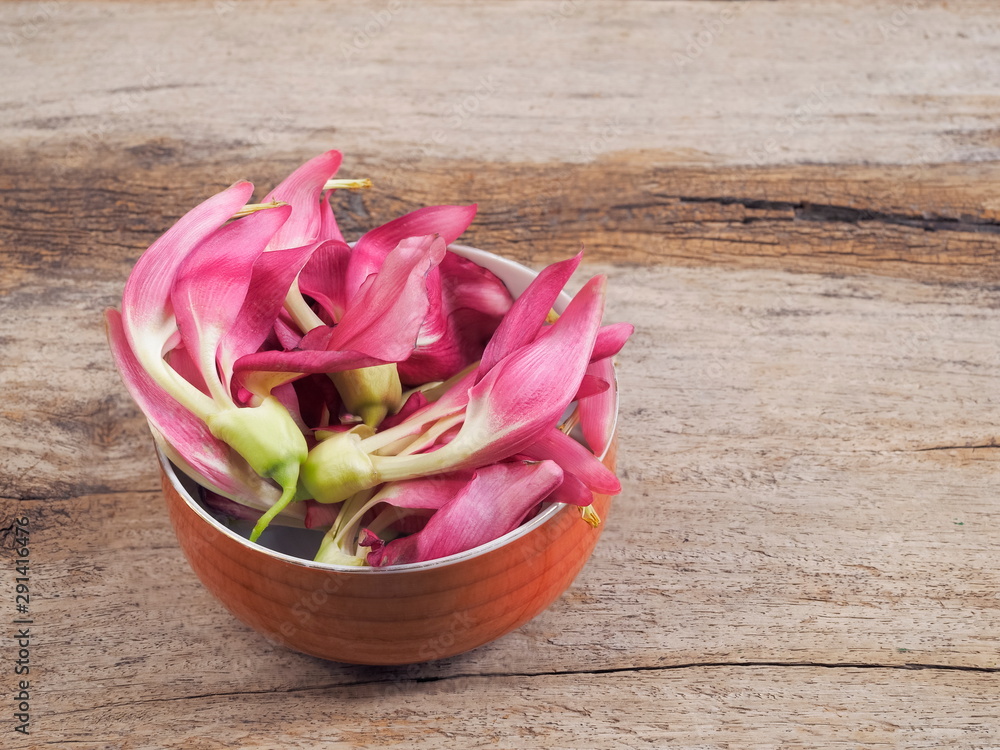 view of many Sesbania Grandiflora or Agati Grandiflora red flowers ...