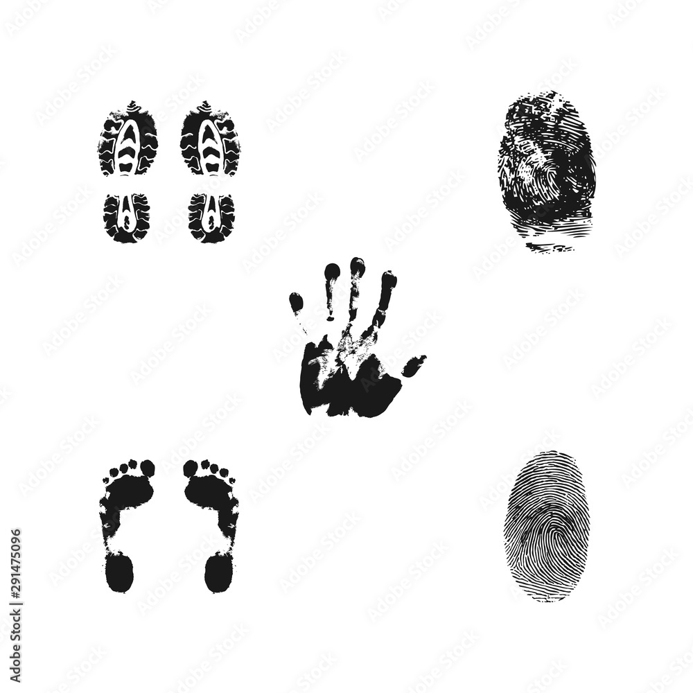 detailed fingerprints handprint and shoeprint over white background ...