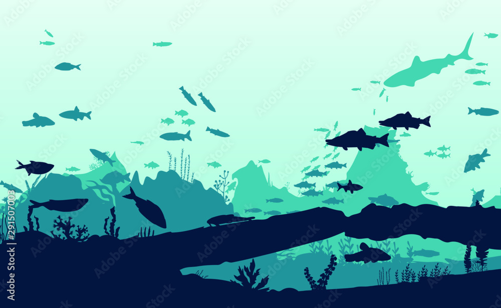 Silhouette of fish and algae on the background of reefs. Underwater ...