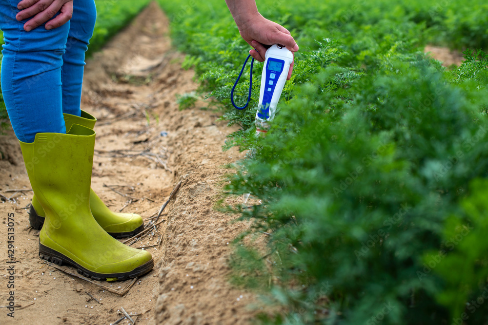 Measure soil with digital device. Green plants and woman farmer measure ...