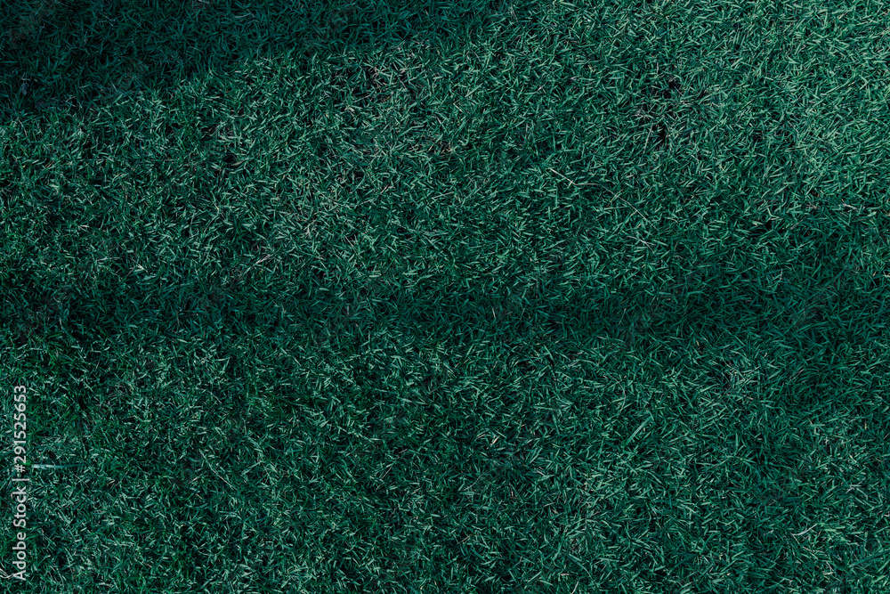 Sponge texture background. polymeric material with a foam structure ...