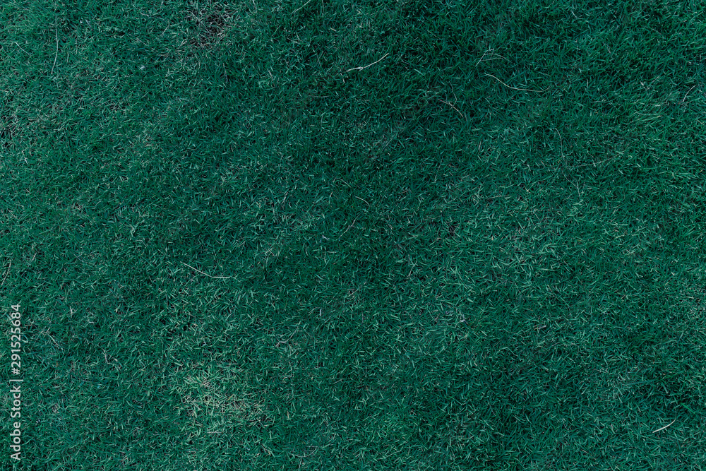 Sponge texture background. polymeric material with a foam structure ...