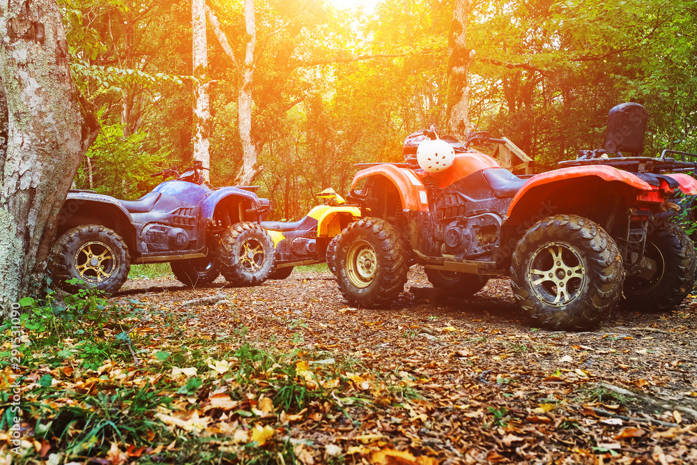 A group of ATVs in a forest covered in mud. Wheels and elements of all ...