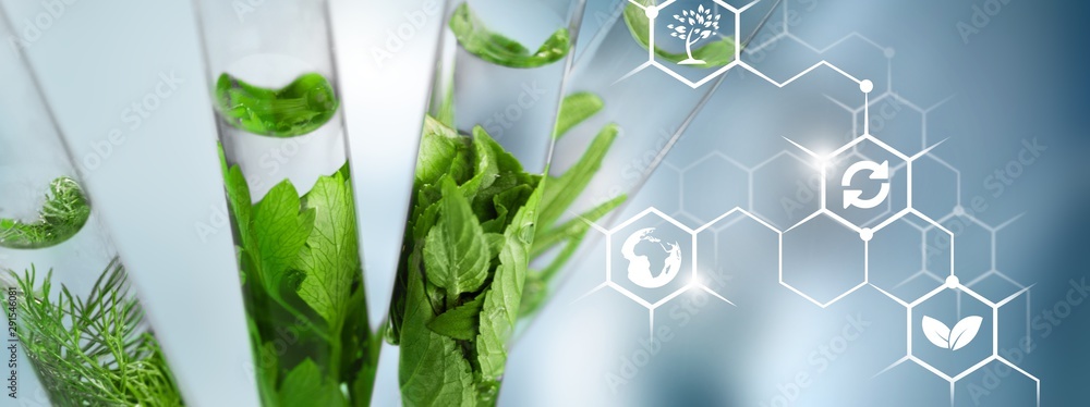 Nature. Stock Photo | Adobe Stock