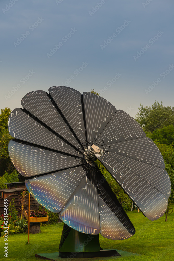 Solarblume im Garten Stock Photo | Adobe Stock