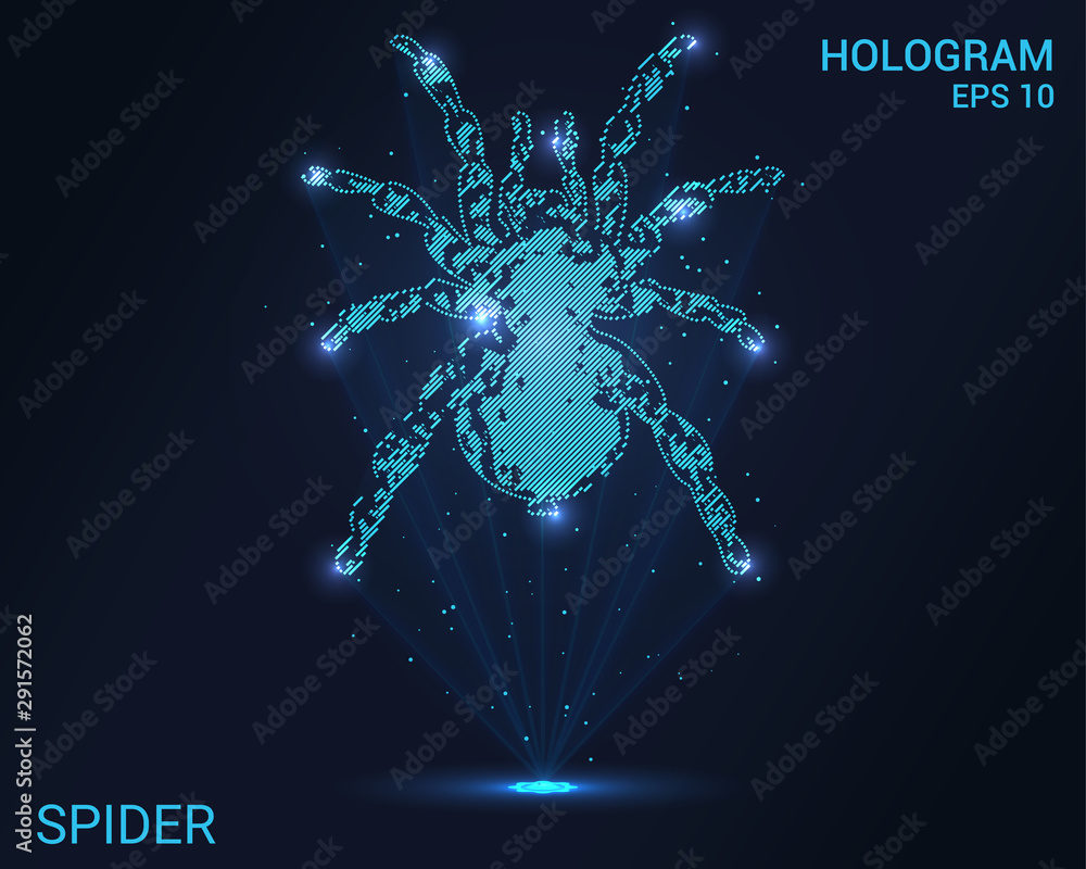 Hologram spider. Holographic projection of a spider. Flickering energy ...
