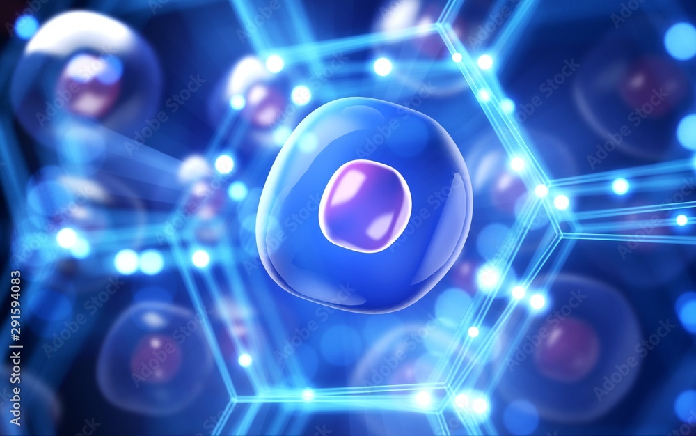 Animal cell. Stock Photo | Adobe Stock