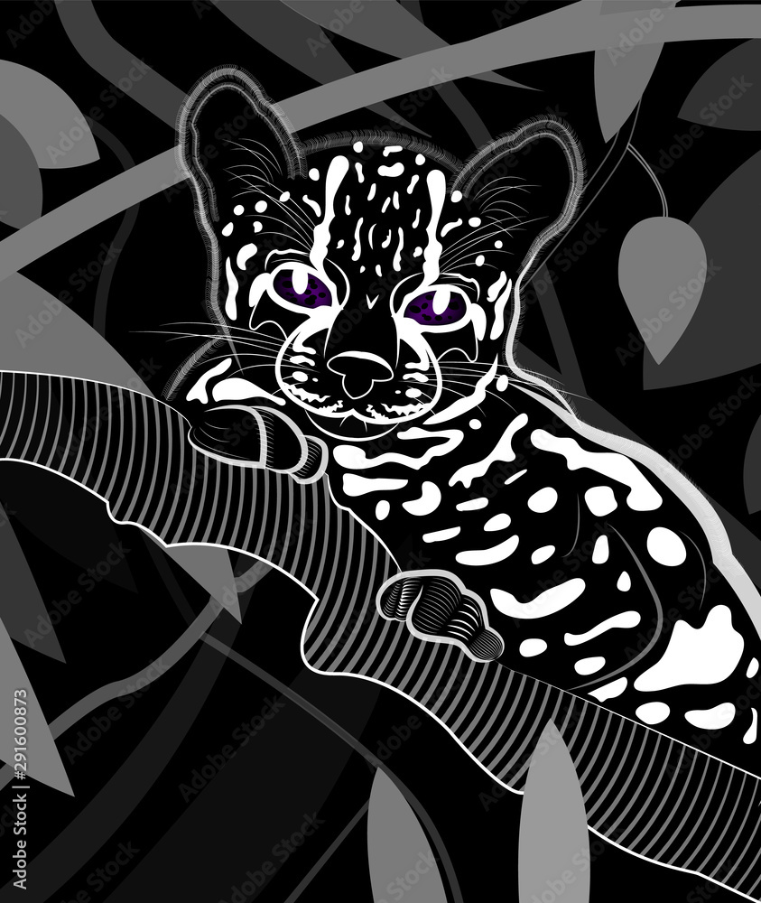 white linear silhouette of oncilla on a black background. tiger cat on ...