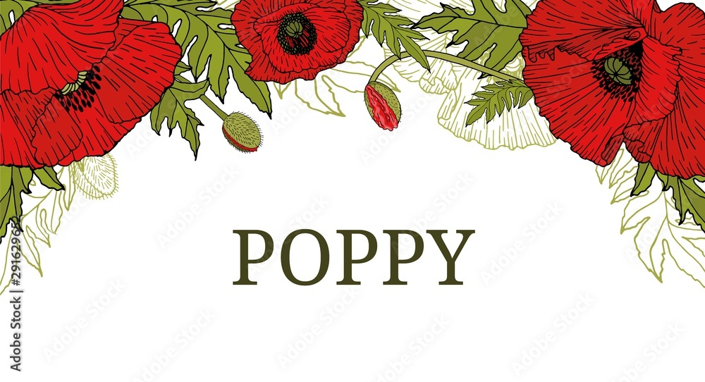 Card, template, banner, header hand drawing of leaves flowers of red ...