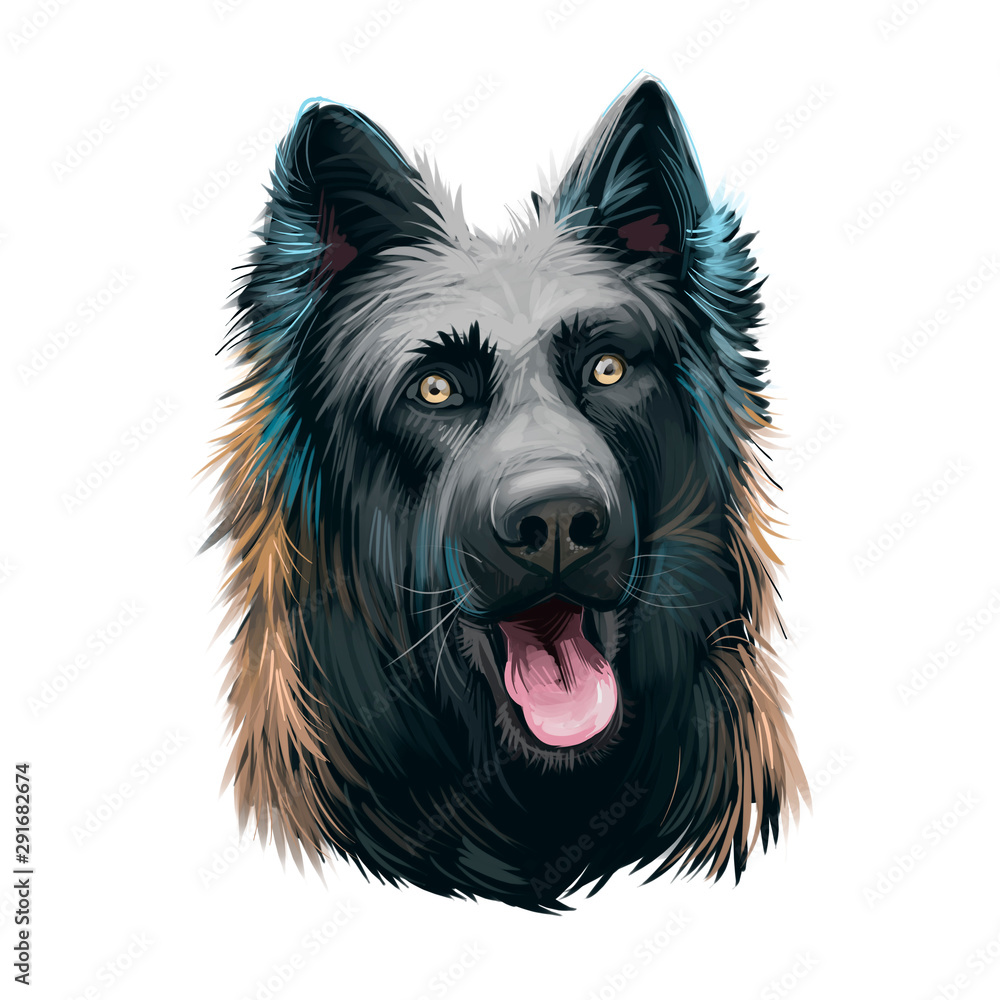 Dutch Shepherd, Hollandse Herder dog digital art illustration isolated ...