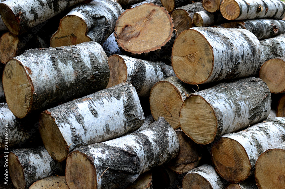 Pile of birch tree logs - lumbering, wood sledge, fire wood Stock Photo ...