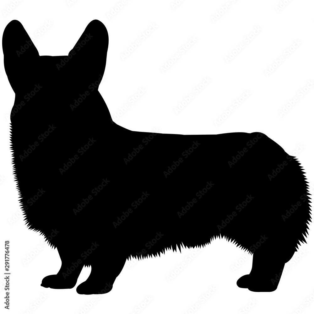 Pembroke Welsh Corgi Silhouette Vector Stock Vector | Adobe Stock
