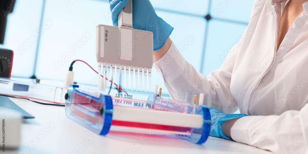 Loading Samples and Running an Agarose Gel for electrophoresis, Gel ...
