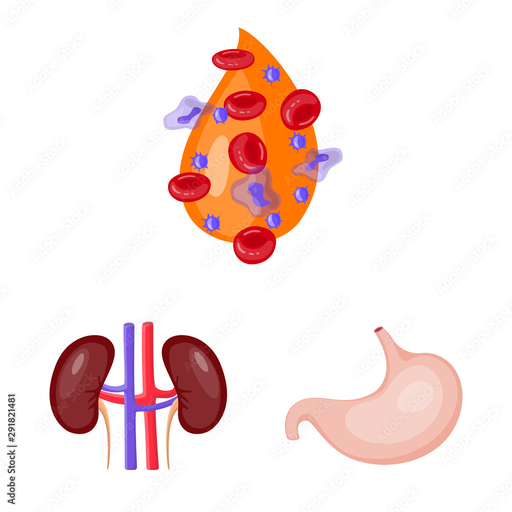 Vector illustration of anatomy and organ symbol. Collection of anatomy ...