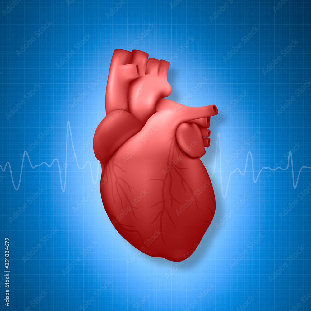 Vector 3d Realistic Glowing Health Heart Model with a Pulse Line ...