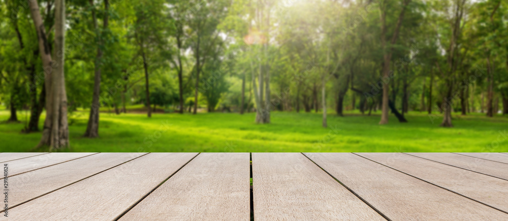 Poster Panorama empty old wood with blur tree and forest background ...
