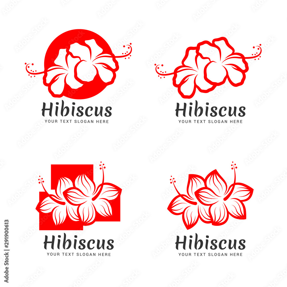 Red Hibiscus Flower Logo Sign Collection Vector Design Stock Vector