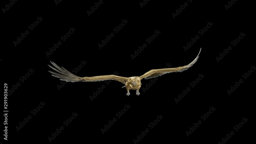 Vidéo Stock Metallic eagle bird in flying loop. Golden and silver ...