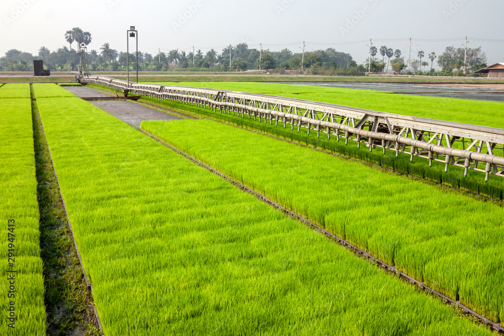 Water drops spray from sprinkler heads watering farm crops, High tech ...