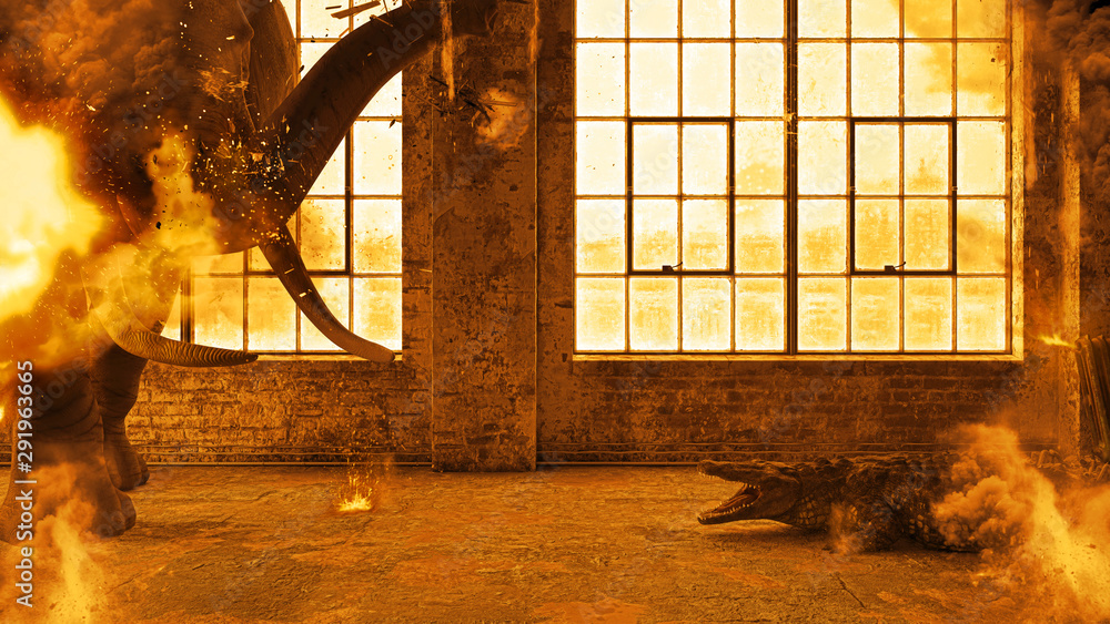 wildlife, animal, fierce, confrontation, challenge, competition ...