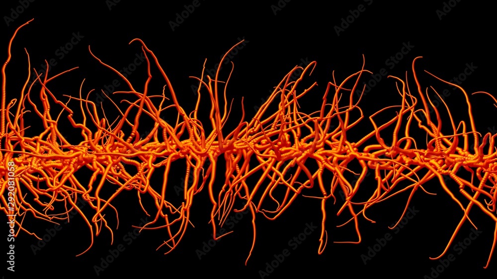 Photo & Art Print Mycelium network , fungal root system growing, vrx123