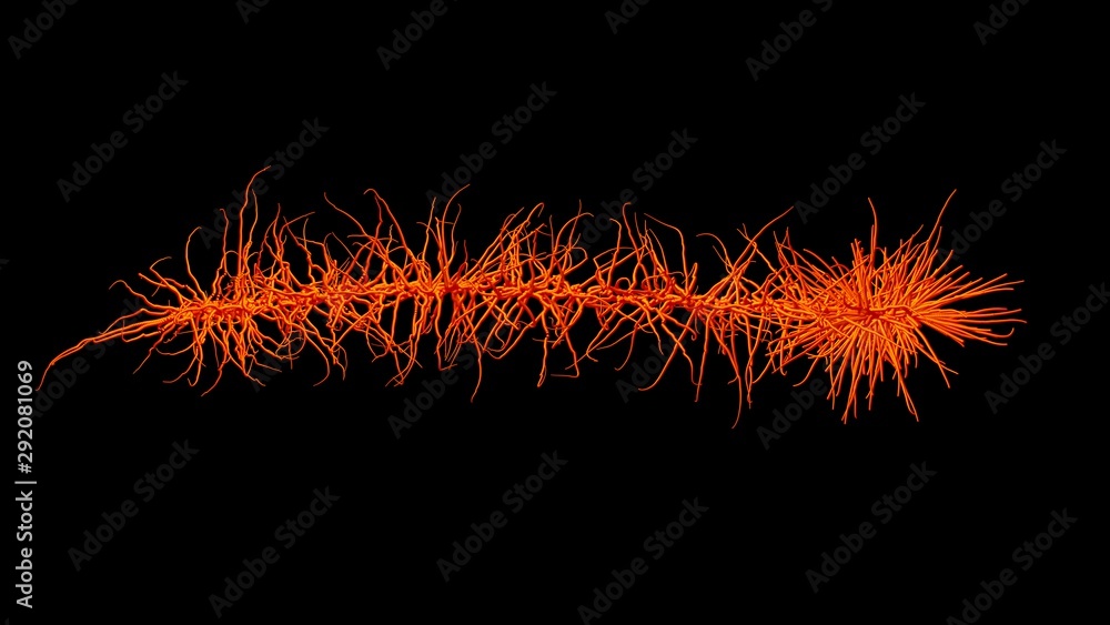 Photo & Art Print Mycelium network , fungal root system growing, vrx123
