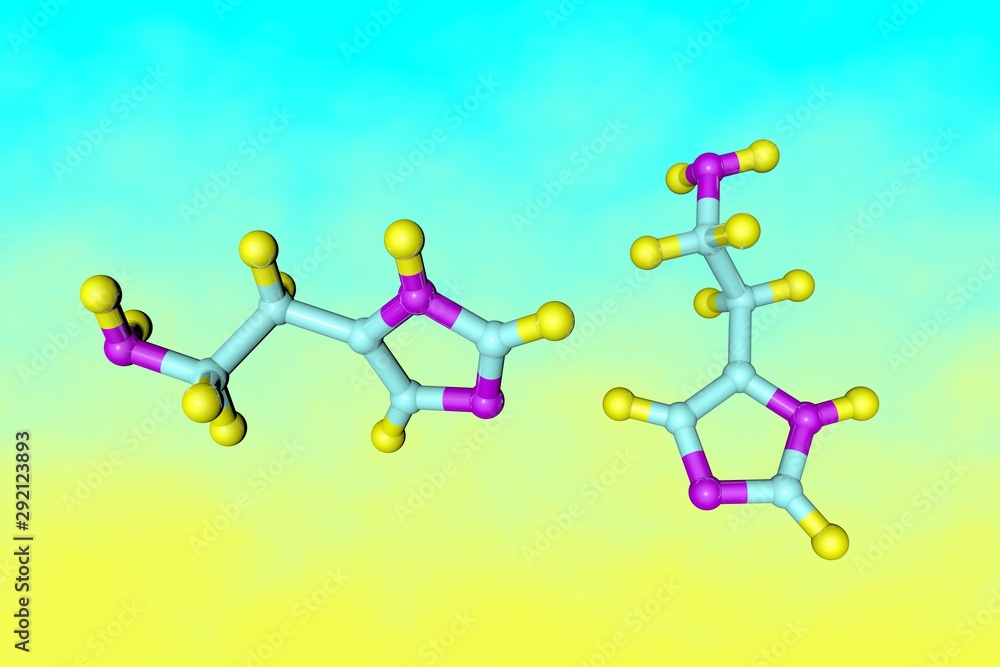 Molecular structure of histamine. It is an organic nitrogenous compound ...