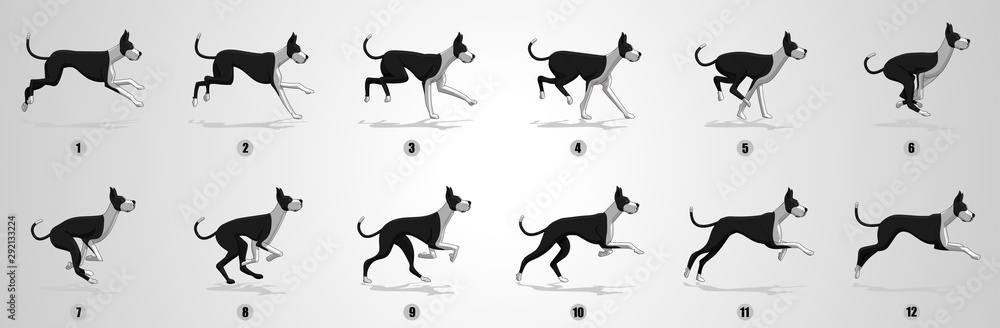 Great Dane Dog Run cycle animation sequence Stock Vector | Adobe Stock