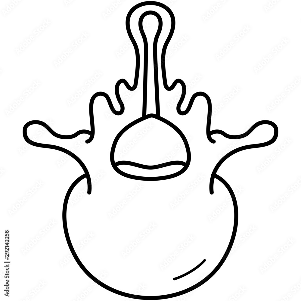 lumbar vertebra Stock Vector | Adobe Stock