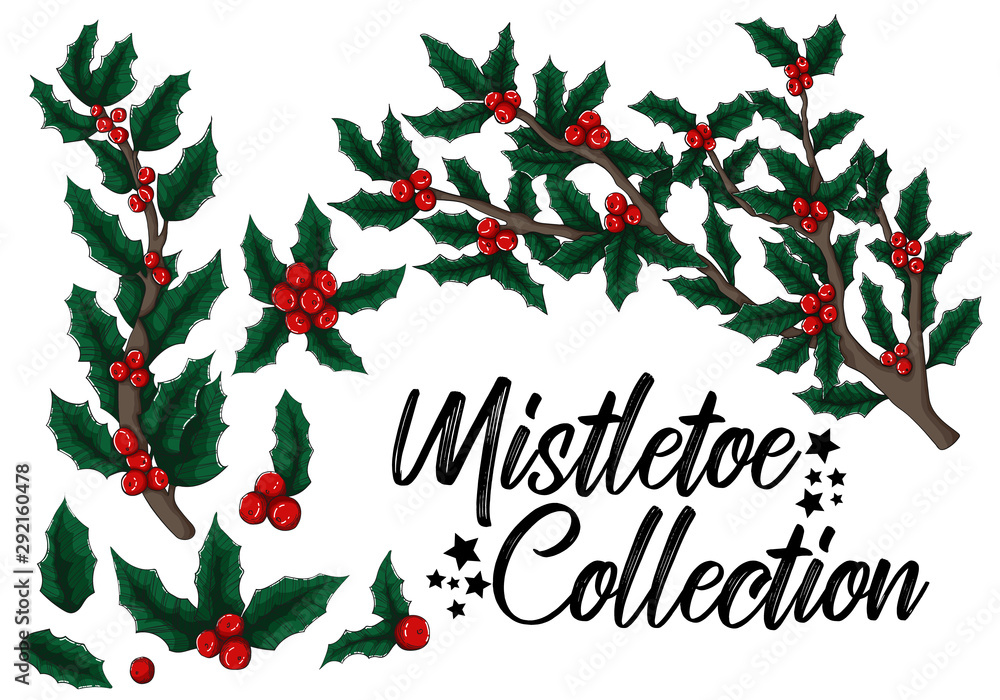 Mistletoe Branch Vector